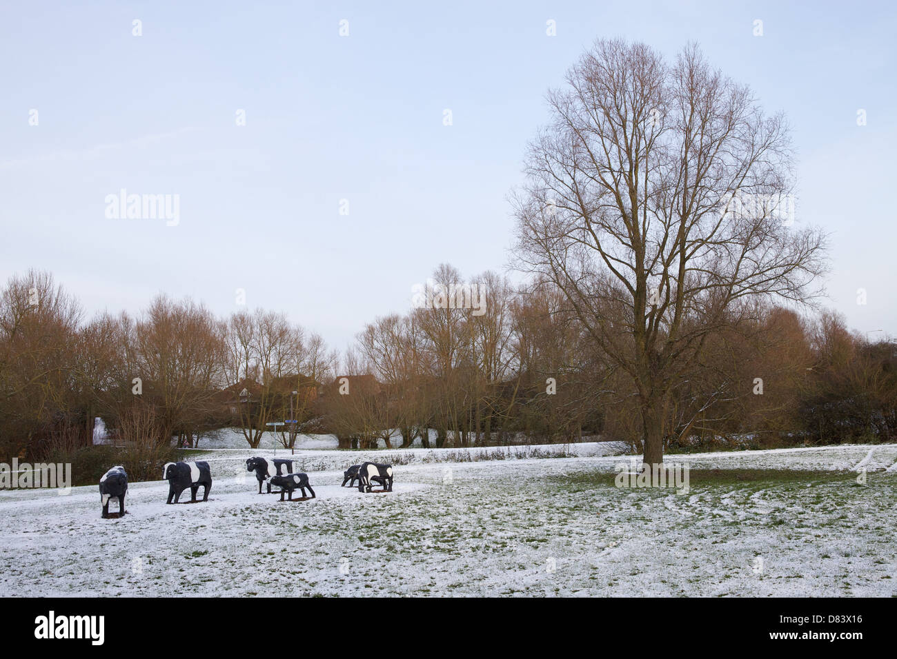 Concrete cows in Milton Keynes created in 1978 by Canadian-born artist ...