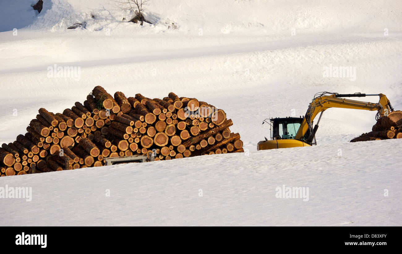 Felled Lumber Lying in the snow as Winter Fades away and Spring Arrives ...