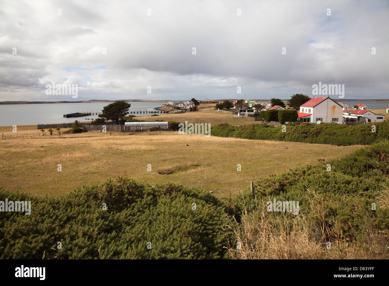 Goose green and falklands hi-res stock photography and images - Alamy