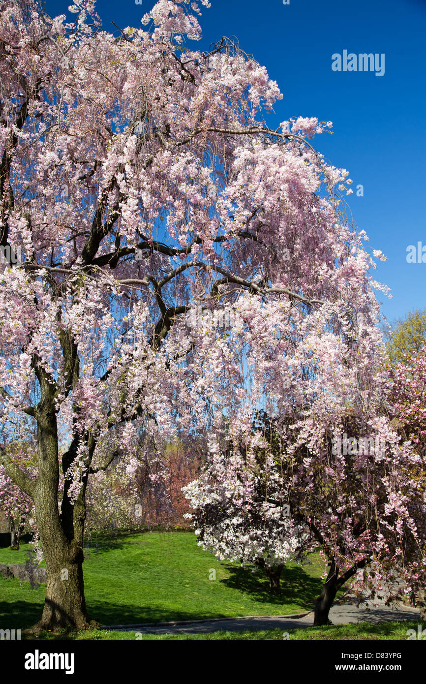 Tall portrait hi-res stock photography and images - Alamy