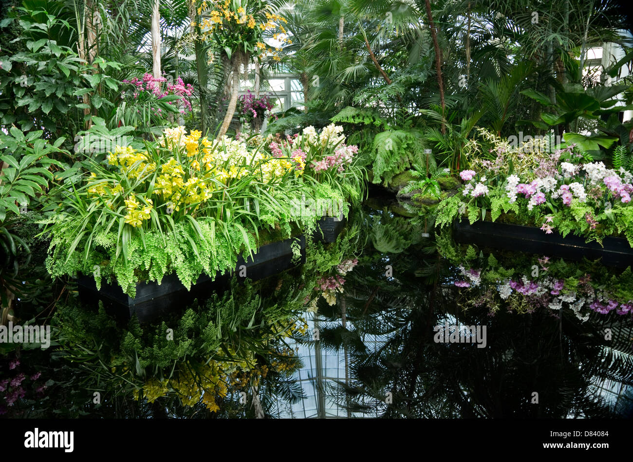 Greenhouse interior hi-res stock photography and images - Alamy