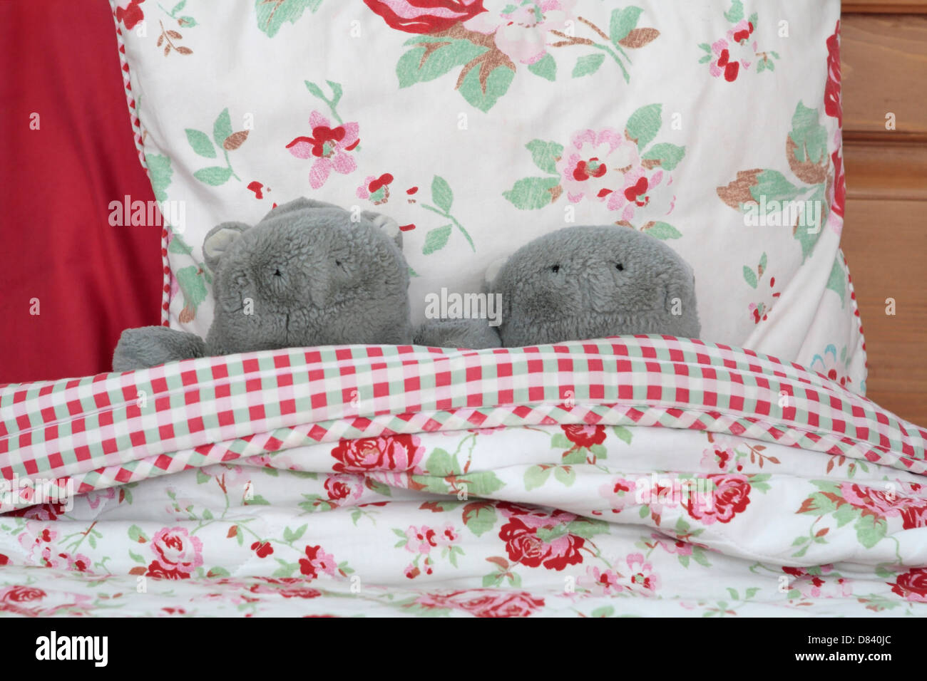 Two hippos in bed, Netherlands Stock Photo - Alamy