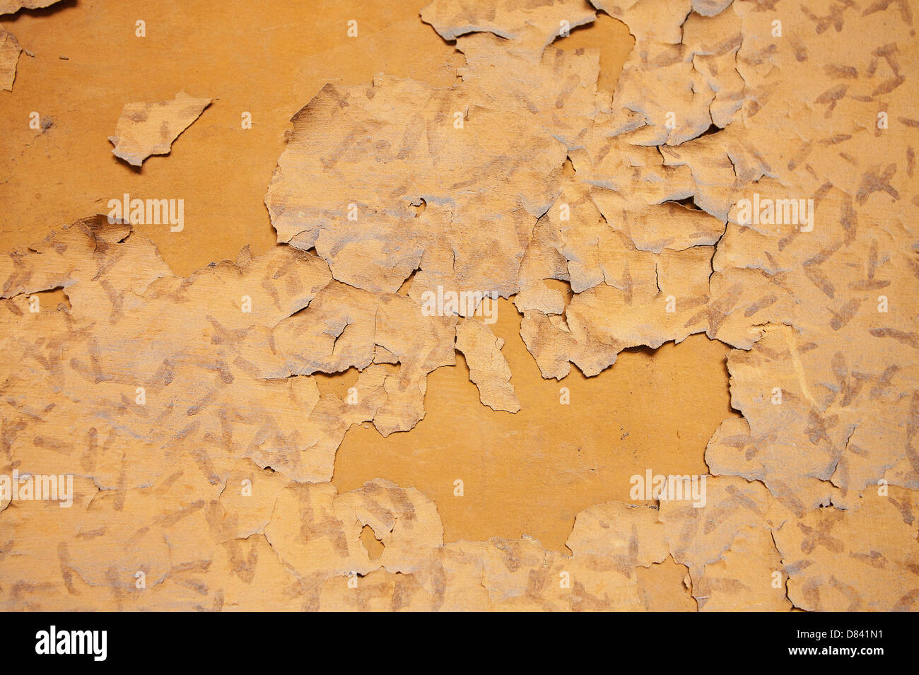 Texture map hi-res stock photography and images - Alamy