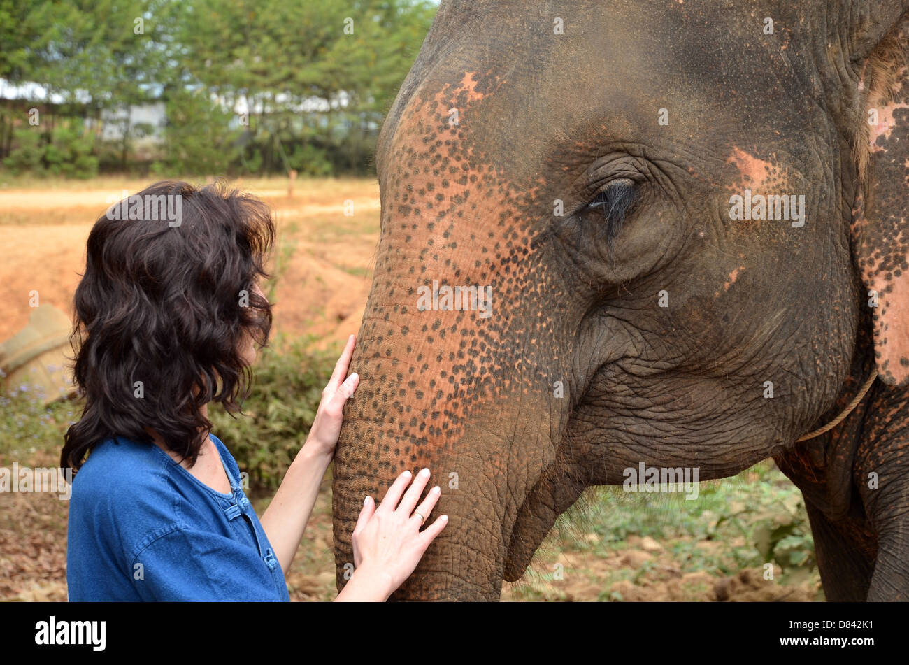 Friendship between elephant and woman Stock Photo - Alamy