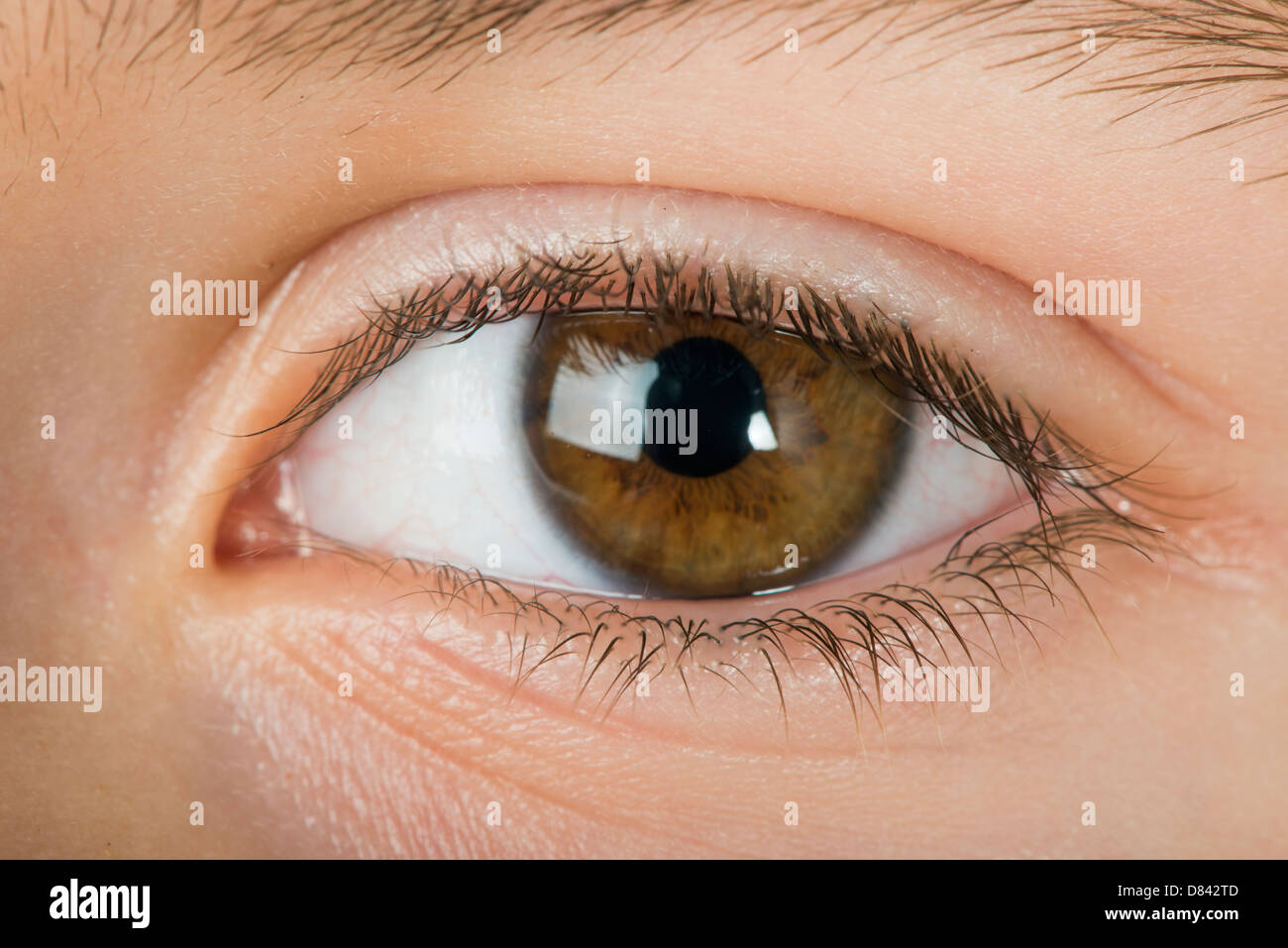 Human children hi-res stock photography and images - Alamy