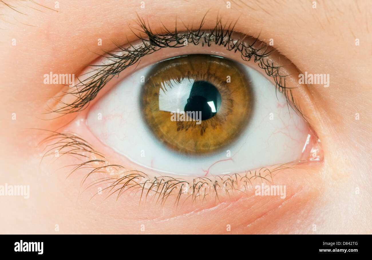 Human eye close up studio shot. Child eye Stock Photo - Alamy