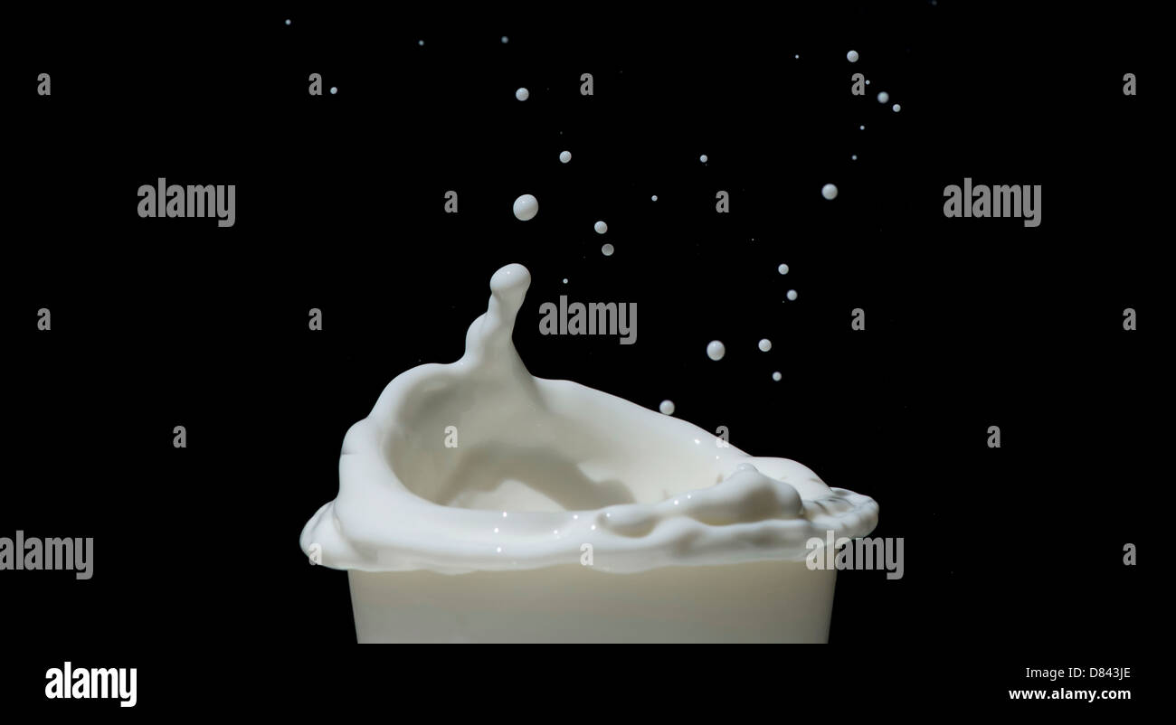 Splashing milk black isolated close up studio shot Stock Photo - Alamy