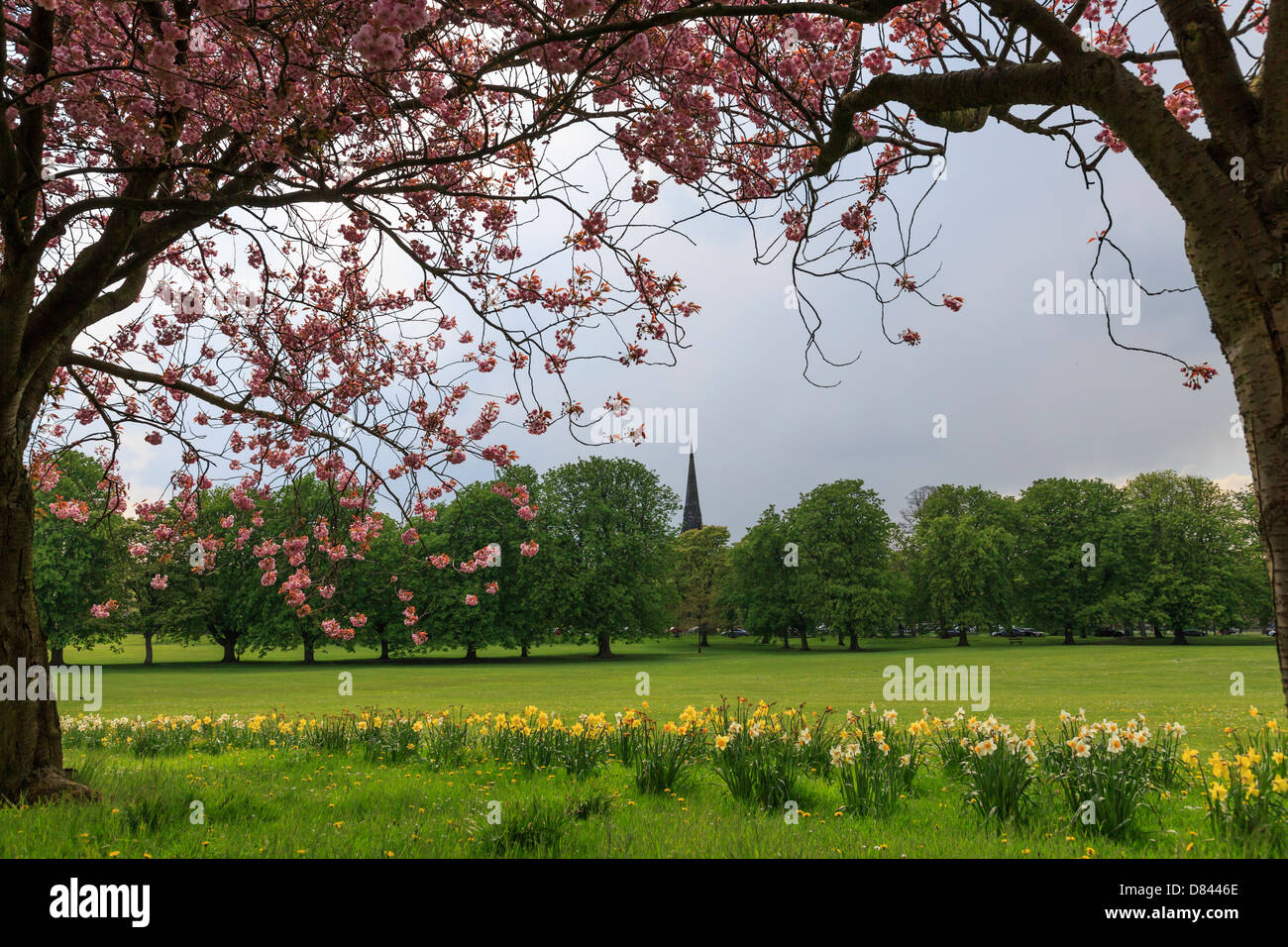 The Stray, Harrogate Stock Photo - Alamy