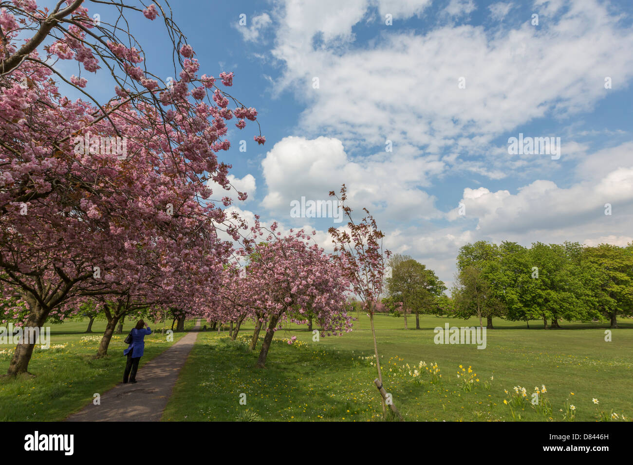 The Stray, Harrogate Stock Photo - Alamy