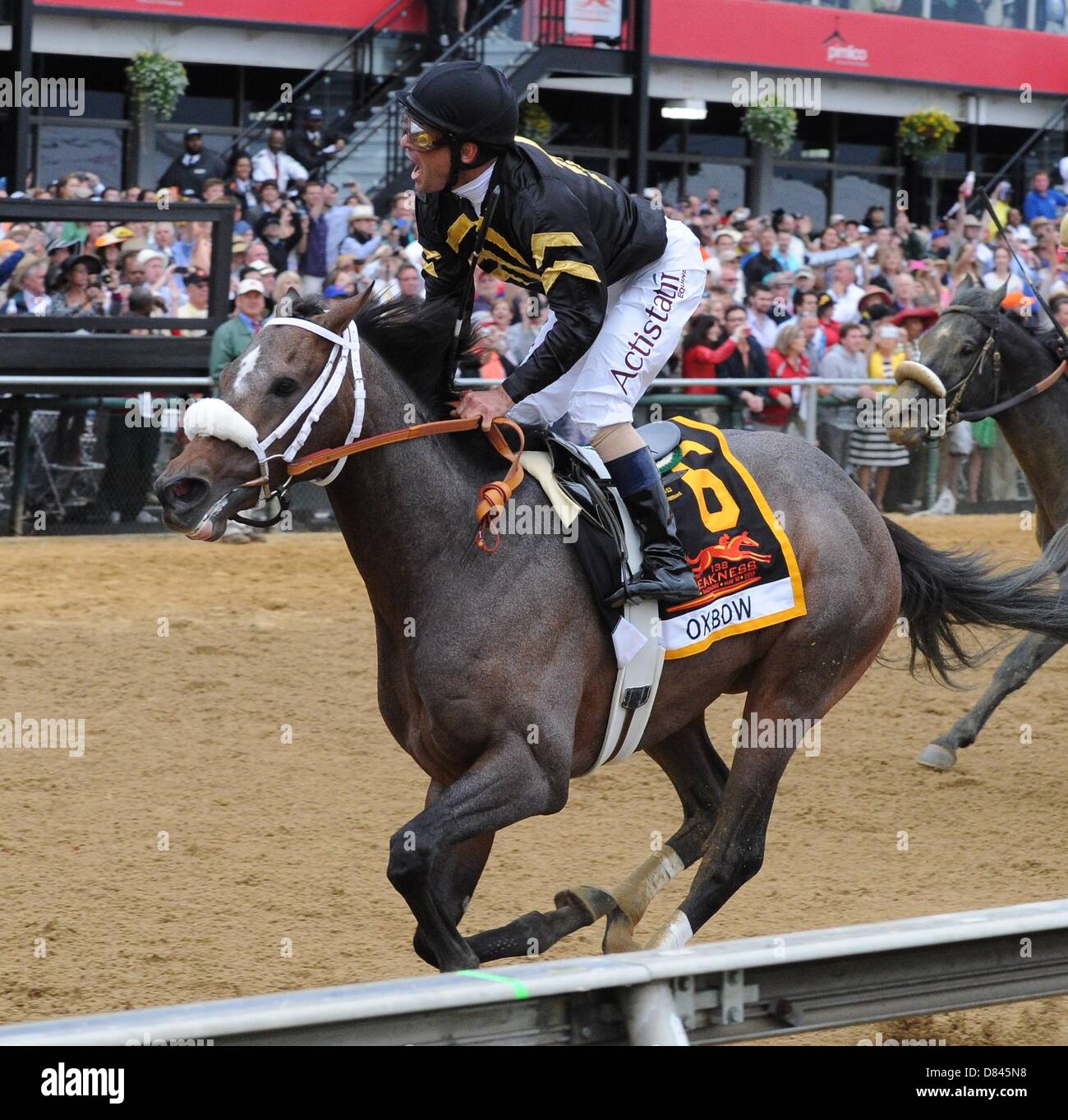 Baltimore, Maryland, USA. 18th May, 2013. Oxbow, ridden by Gary Stevens ...