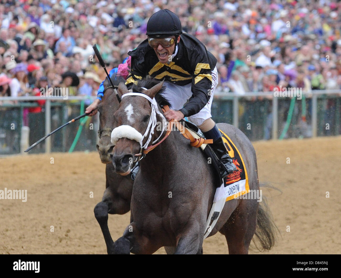Baltimore, Maryland, USA. 18th May, 2013. Oxbow, ridden by Gary Stevens ...