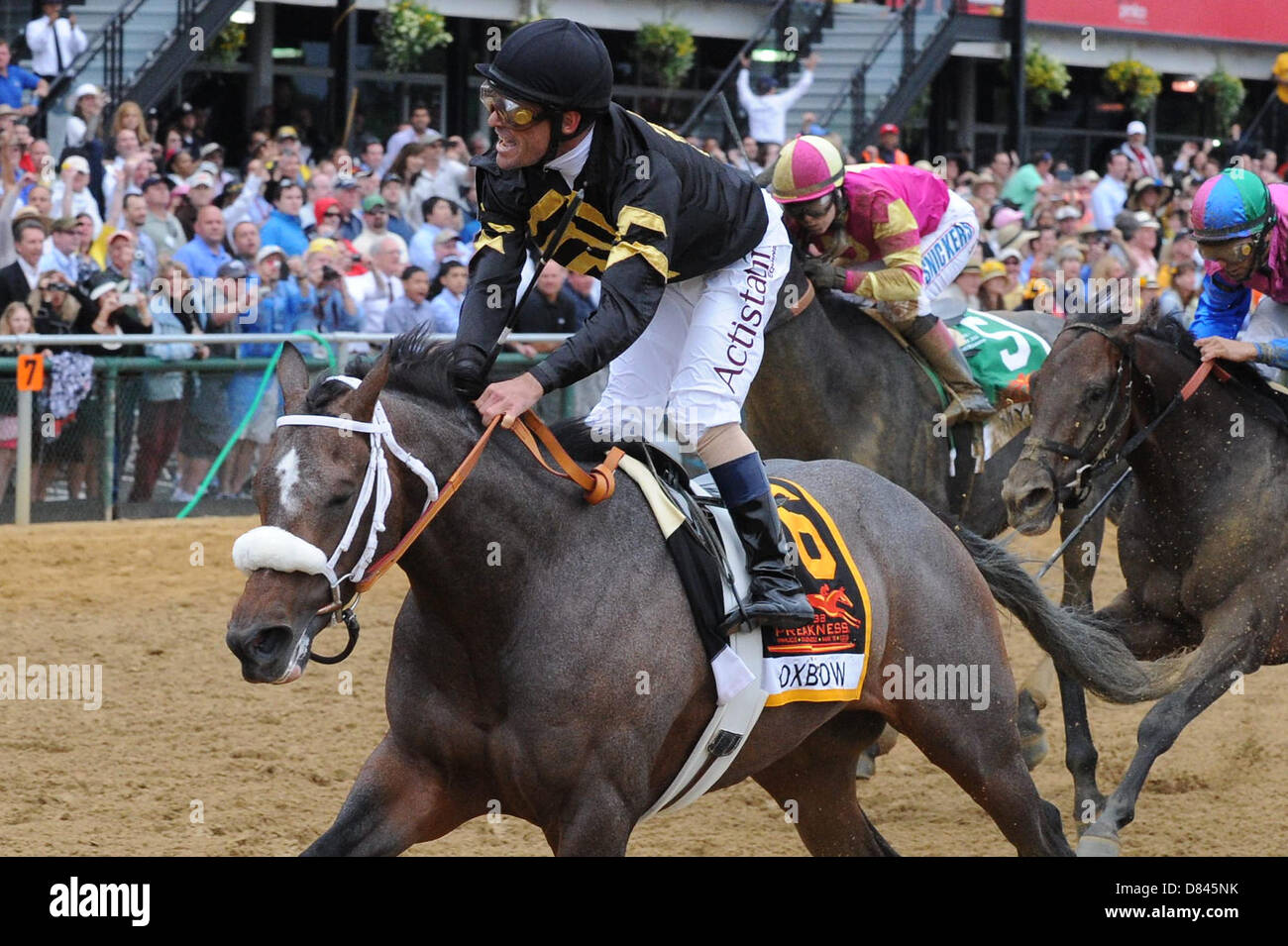 Baltimore, Maryland, USA. 18th May, 2013. Oxbow, ridden by Gary Stevens ...
