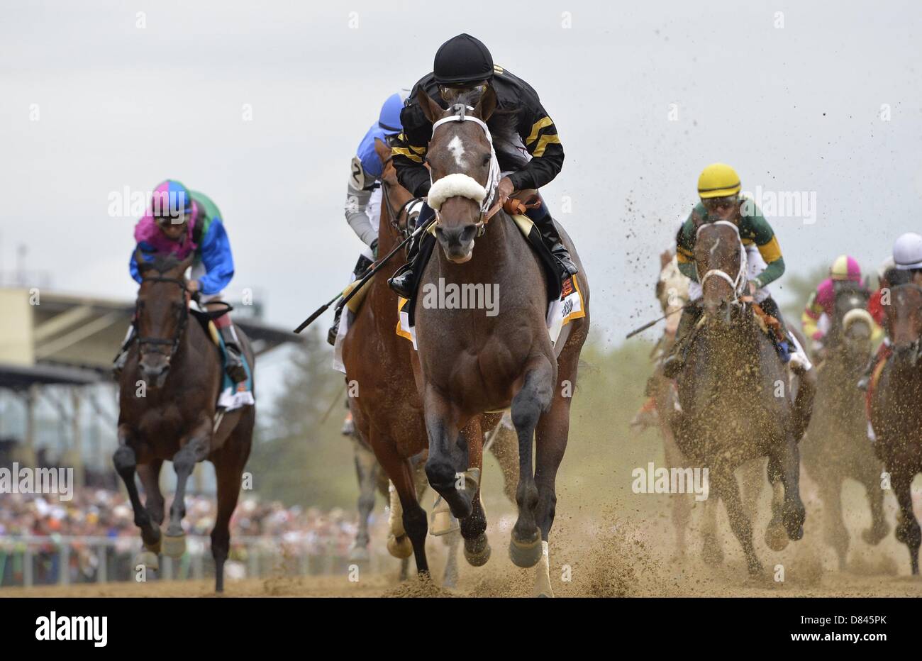 Baltimore, Maryland, USA. 18th May, 2013. Oxbow, ridden by Gary Stevens ...