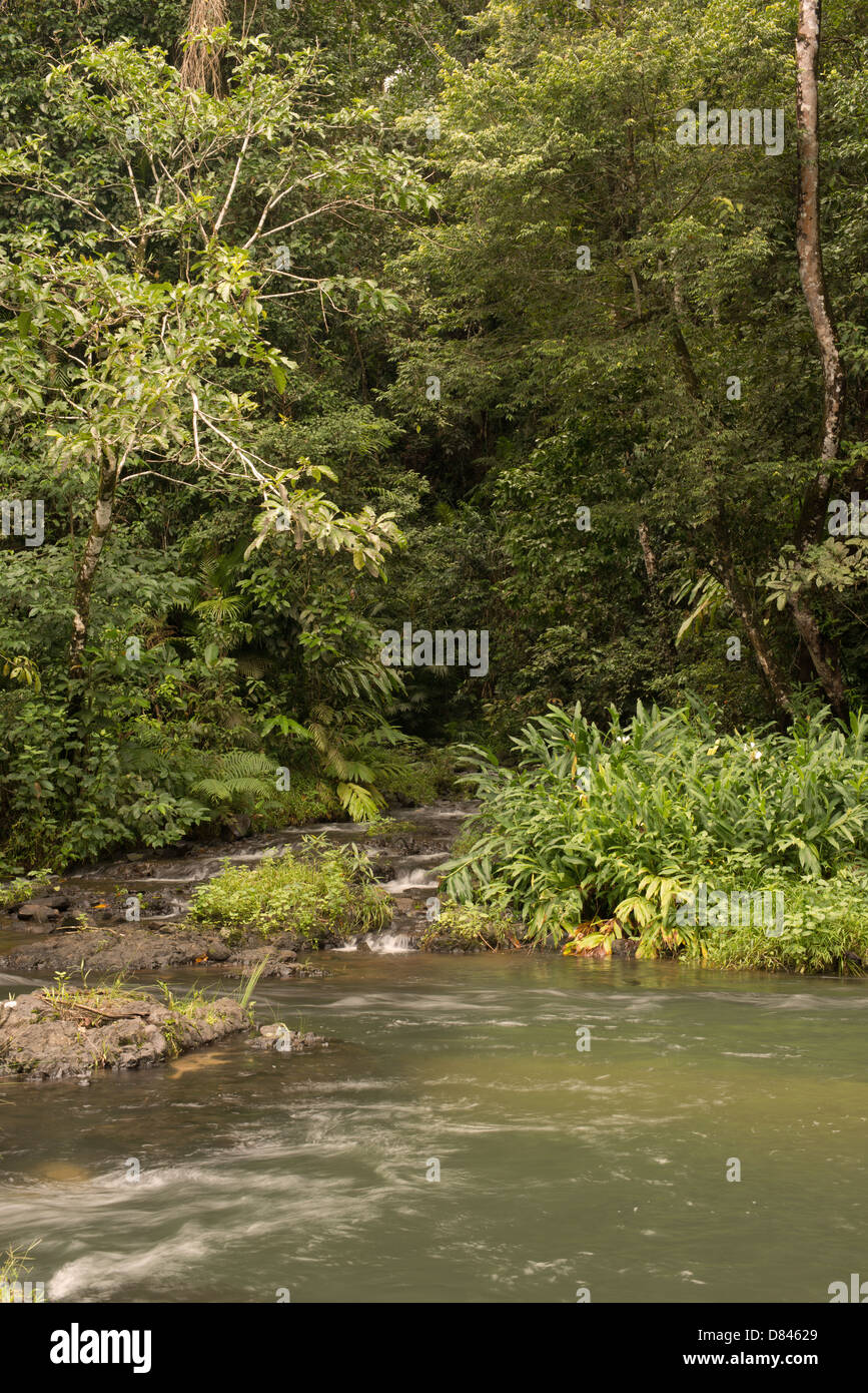 Milla Milla, rainforest scenery at the Milla Milla Falls, Atherton ...