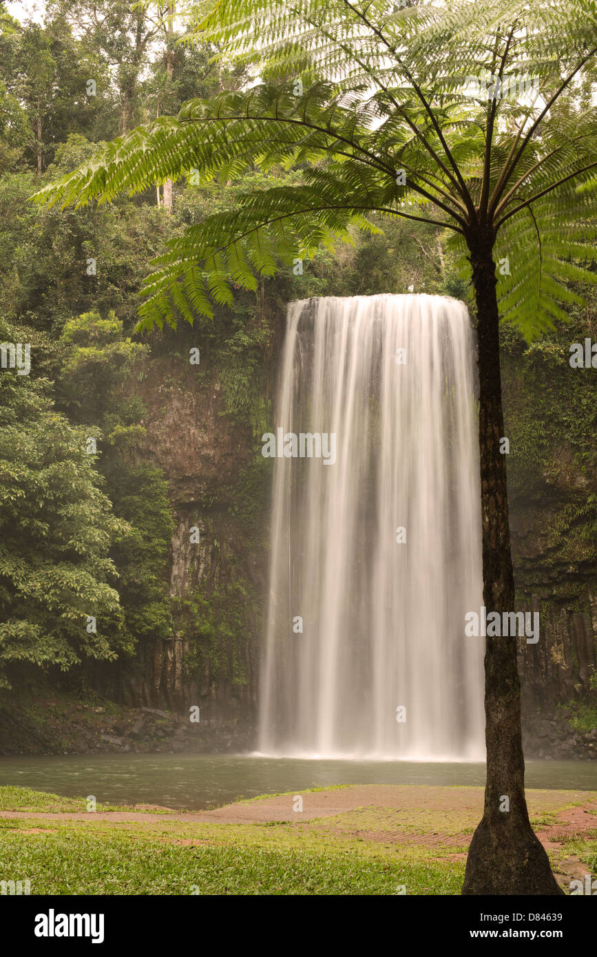 Milla Milla, rainforest scenery at the Milla Milla Falls, Atherton ...