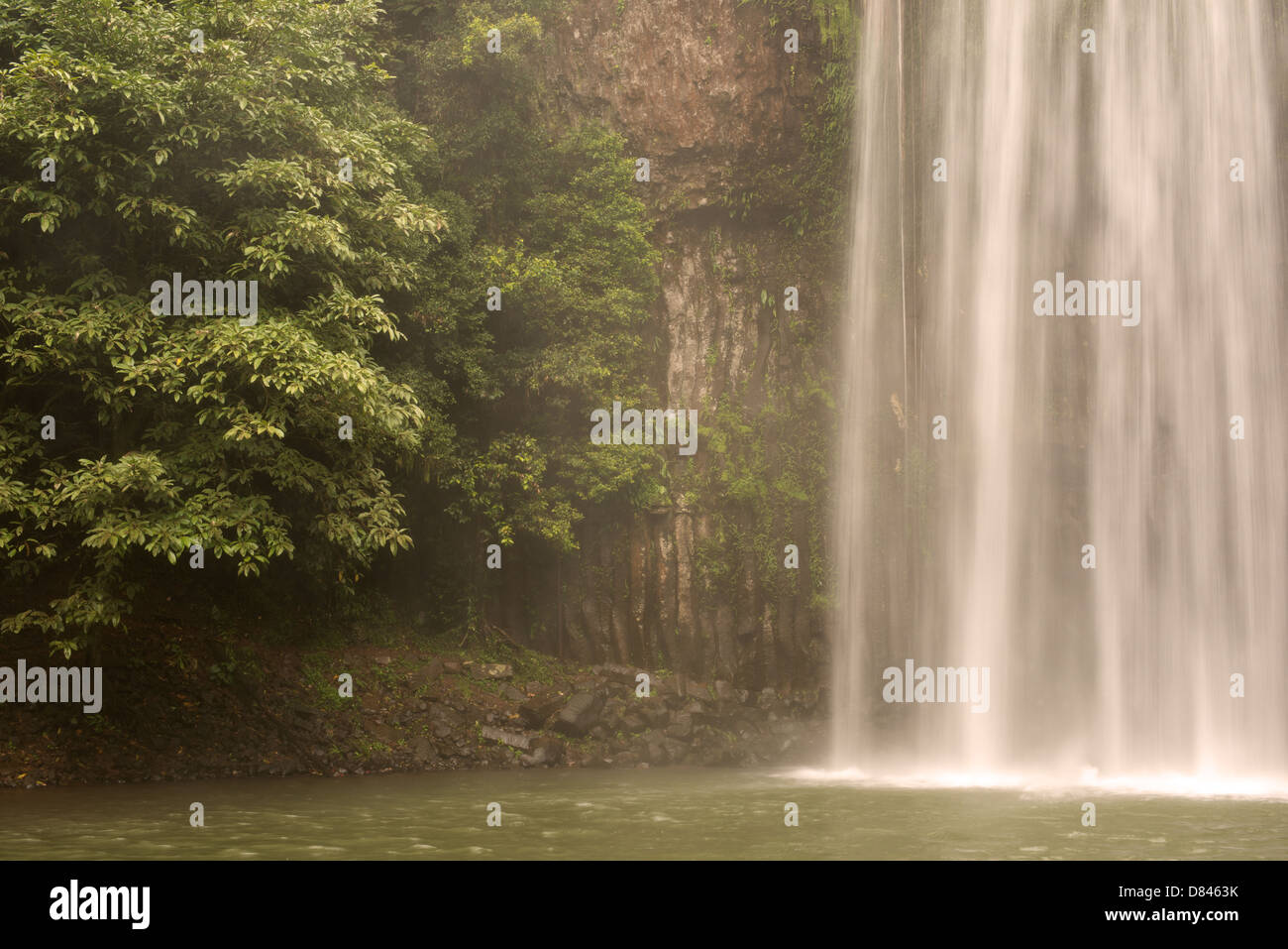 Milla Milla, rainforest scenery at the Milla Milla Falls, Atherton ...