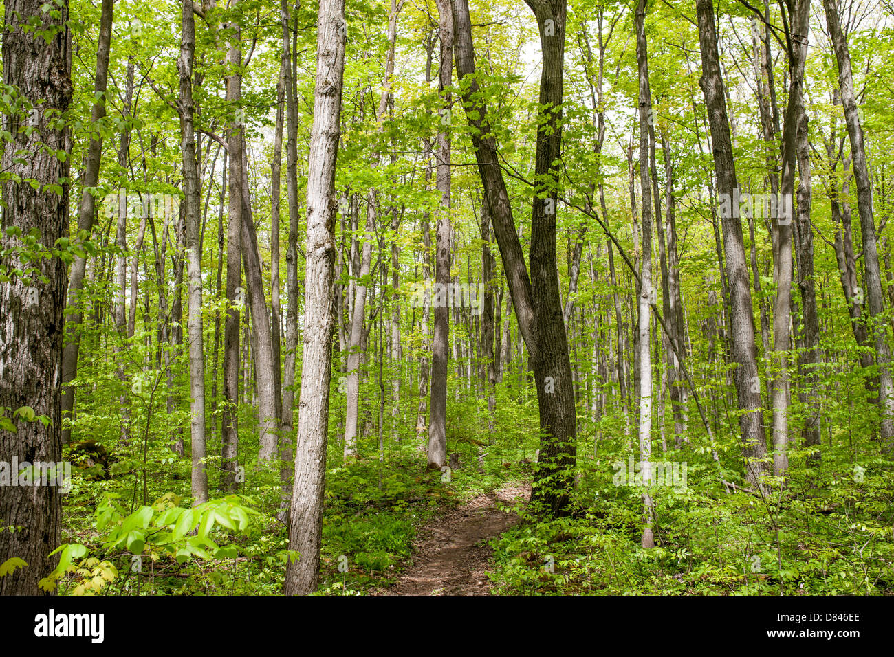 Hilton falls conservation area hi-res stock photography and images - Alamy