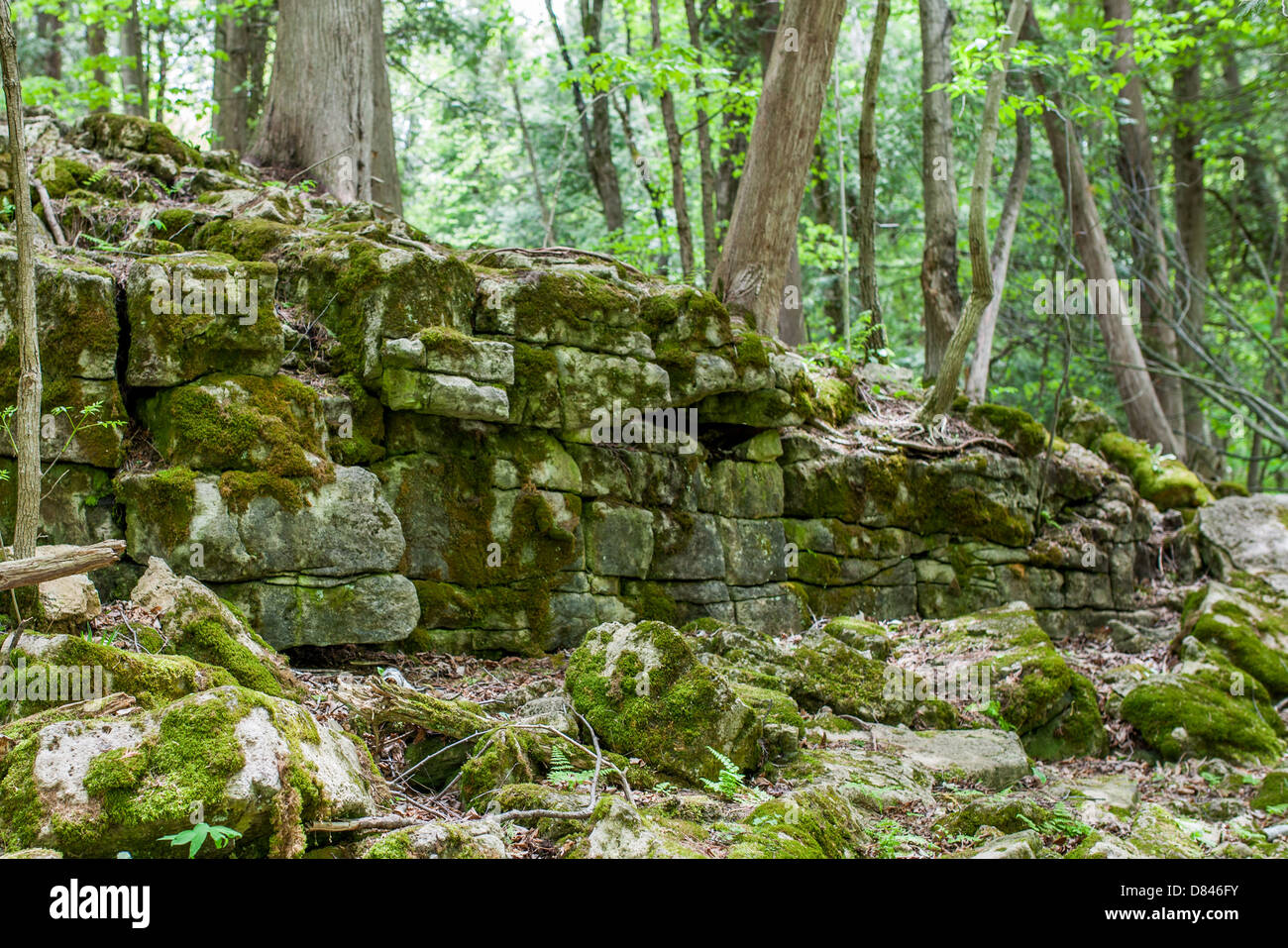 The Hilton Falls conservation area in Halton Hills, Ontario, Canada ...