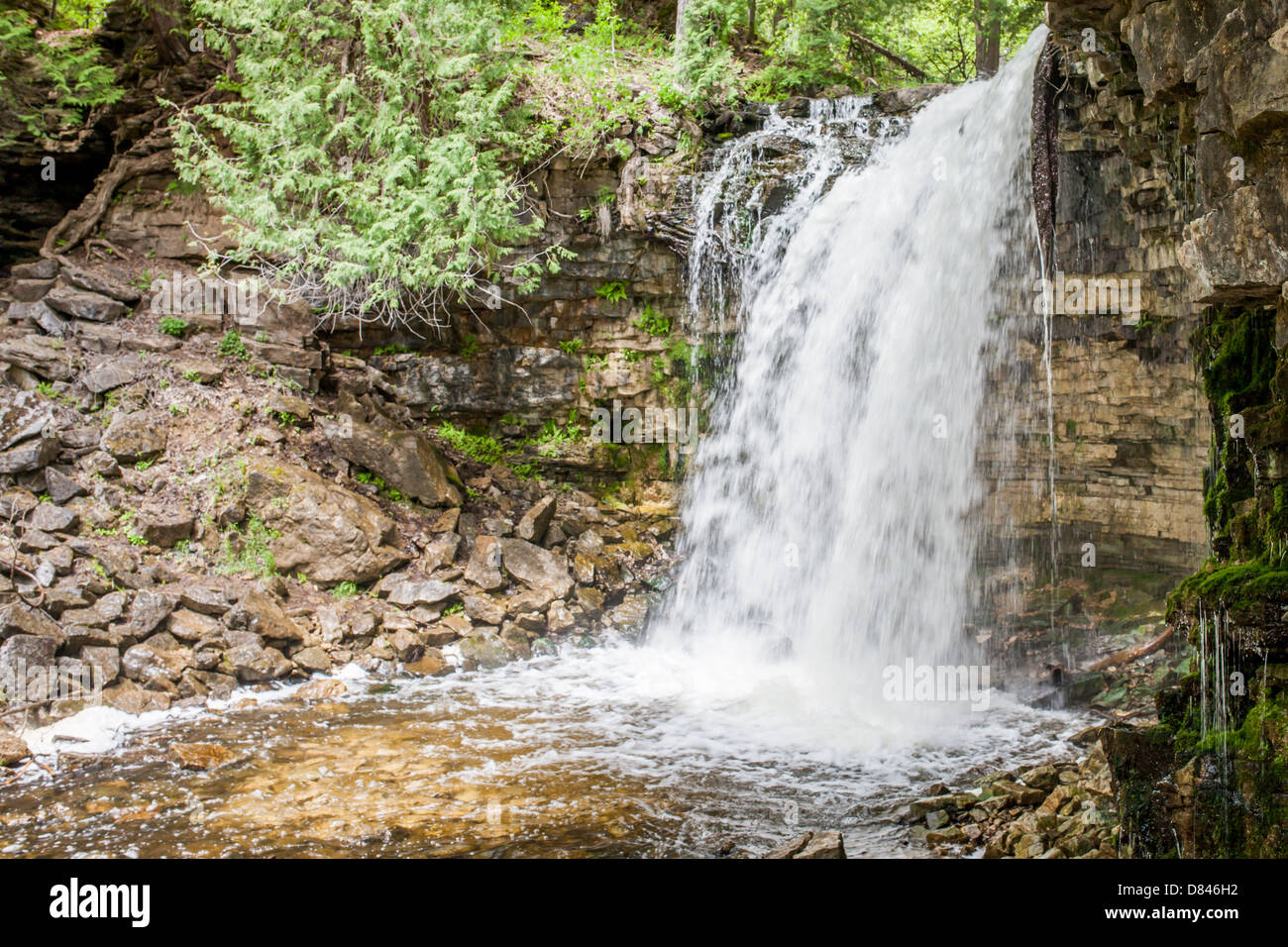 The Hilton Falls conservation area in Halton Hills, Ontario, Canada ...