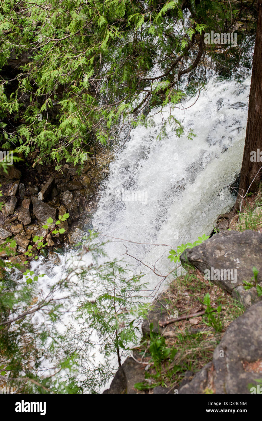 The Hilton Falls conservation area in Halton Hills, Ontario, Canada ...