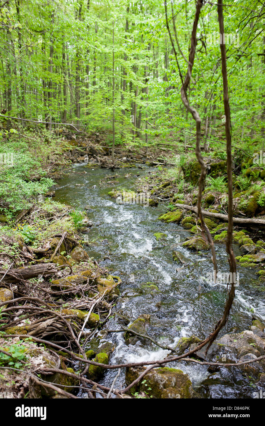 Hilton falls conservation area hi-res stock photography and images - Alamy