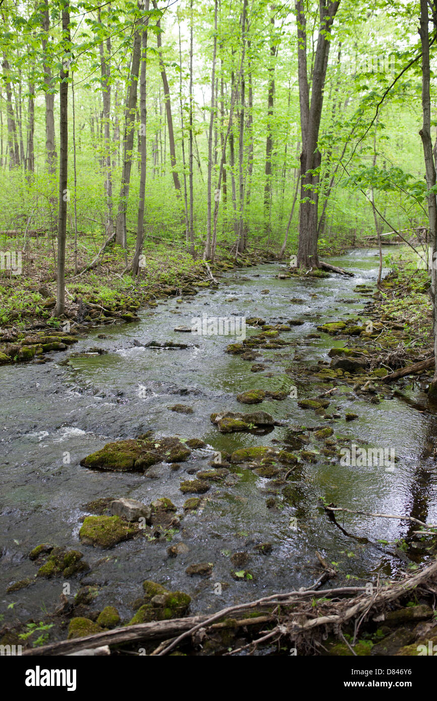 The Hilton Falls conservation area in Halton Hills, Ontario, Canada ...