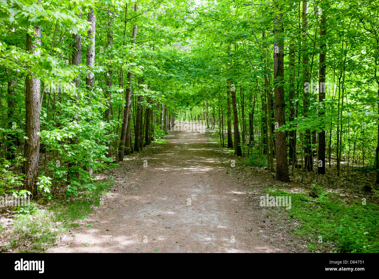 The Hilton Falls conservation area in Halton Hills, Ontario, Canada ...