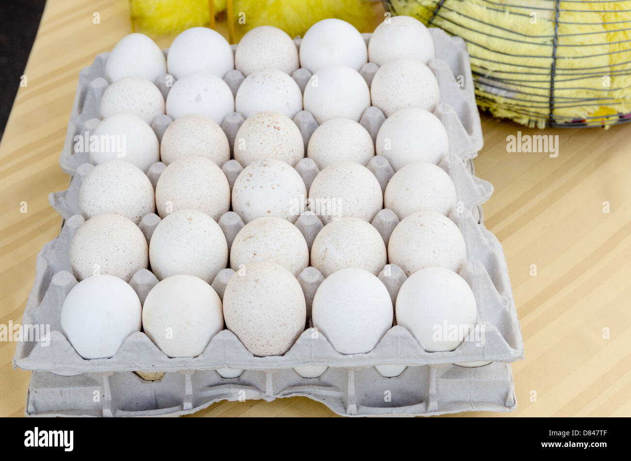Carton of free range organic eggs on display at the farmers market ...