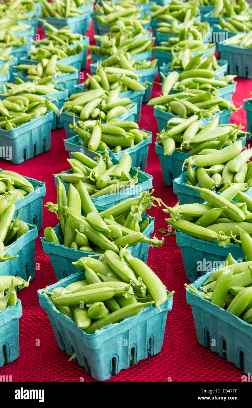 Boxes of freshly harvested peas on display at the farmers market Stock ...