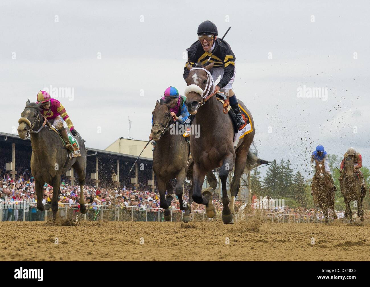 Baltimore, USA. 18th May, 2013. Oxbow, ridden by Gary Stevens, wins the ...