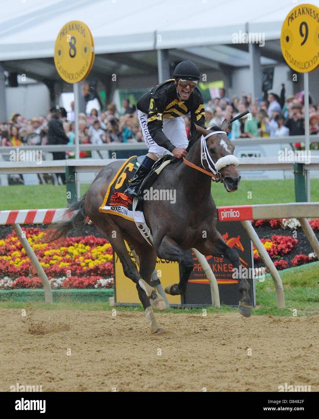 Baltimore, USA. 18th May, 2013. Oxbow (no. 6), ridden by Gary Stevens ...