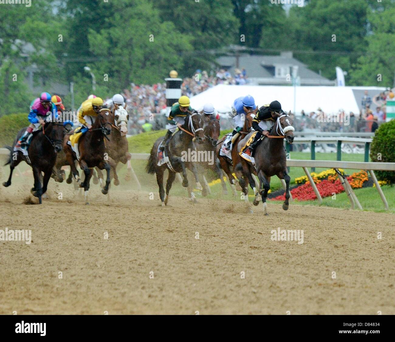 Baltimore, USA. 18th May, 2013. Oxbow (no. 6), ridden by Gary Stevens ...