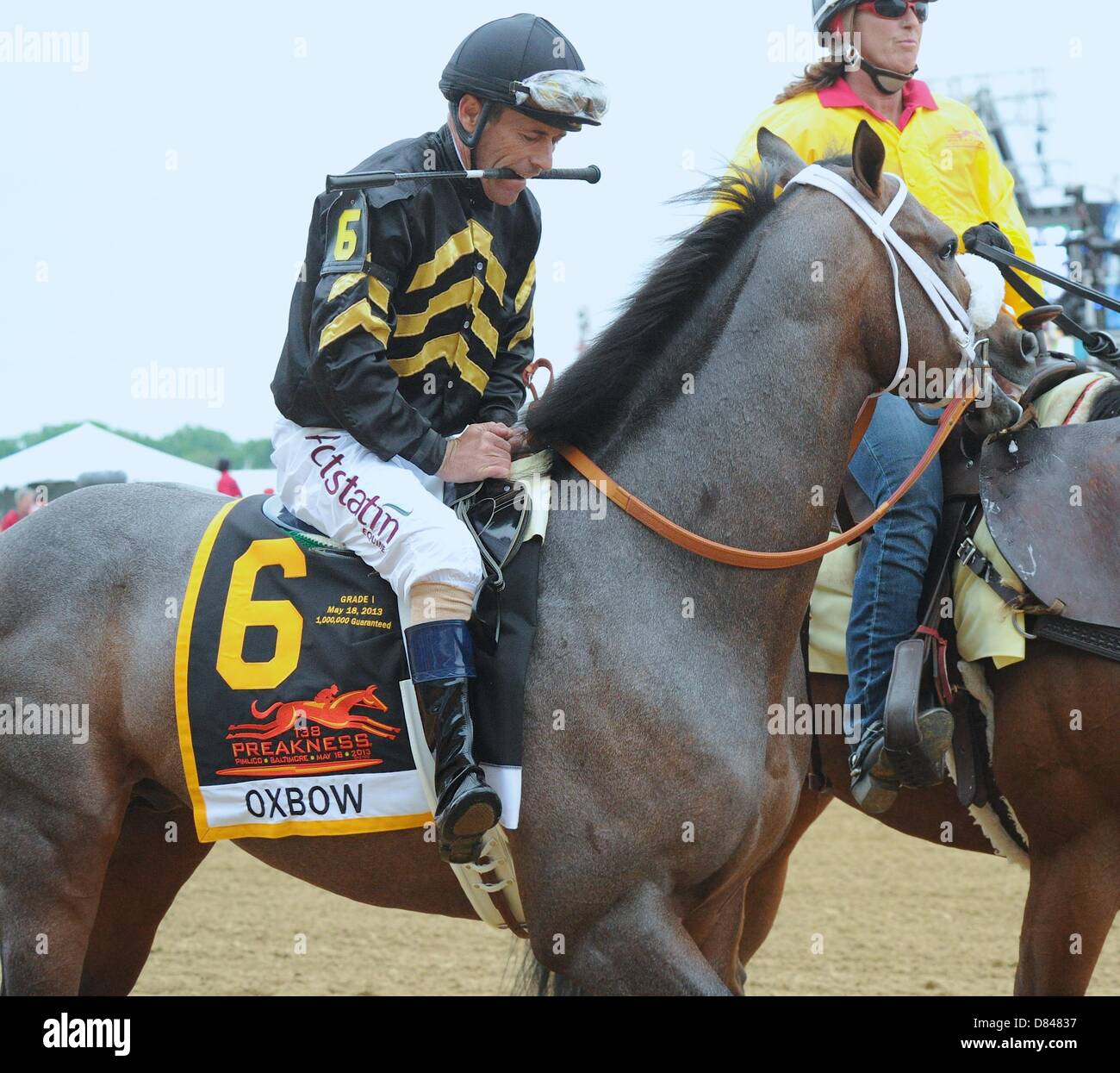Baltimore, USA. 18th May, 2013. Oxbow (no. 6), ridden by Gary Stevens ...