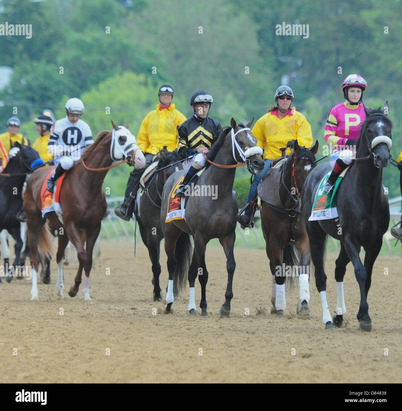 Baltimore, USA. 18th May, 2013. Oxbow (no. 6), ridden by Gary Stevens ...