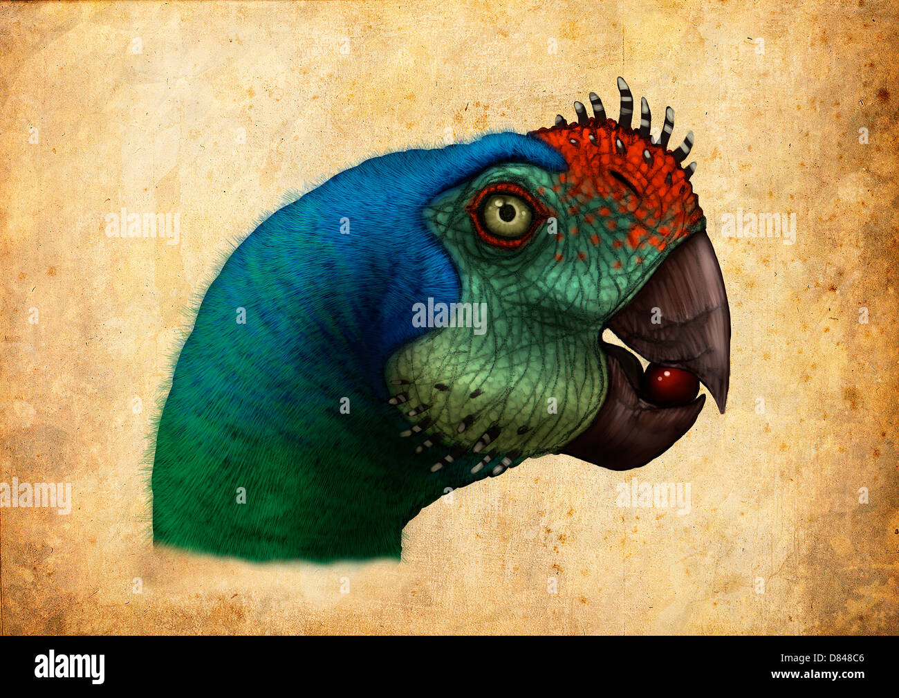 Oviraptor head detail Stock Photo - Alamy