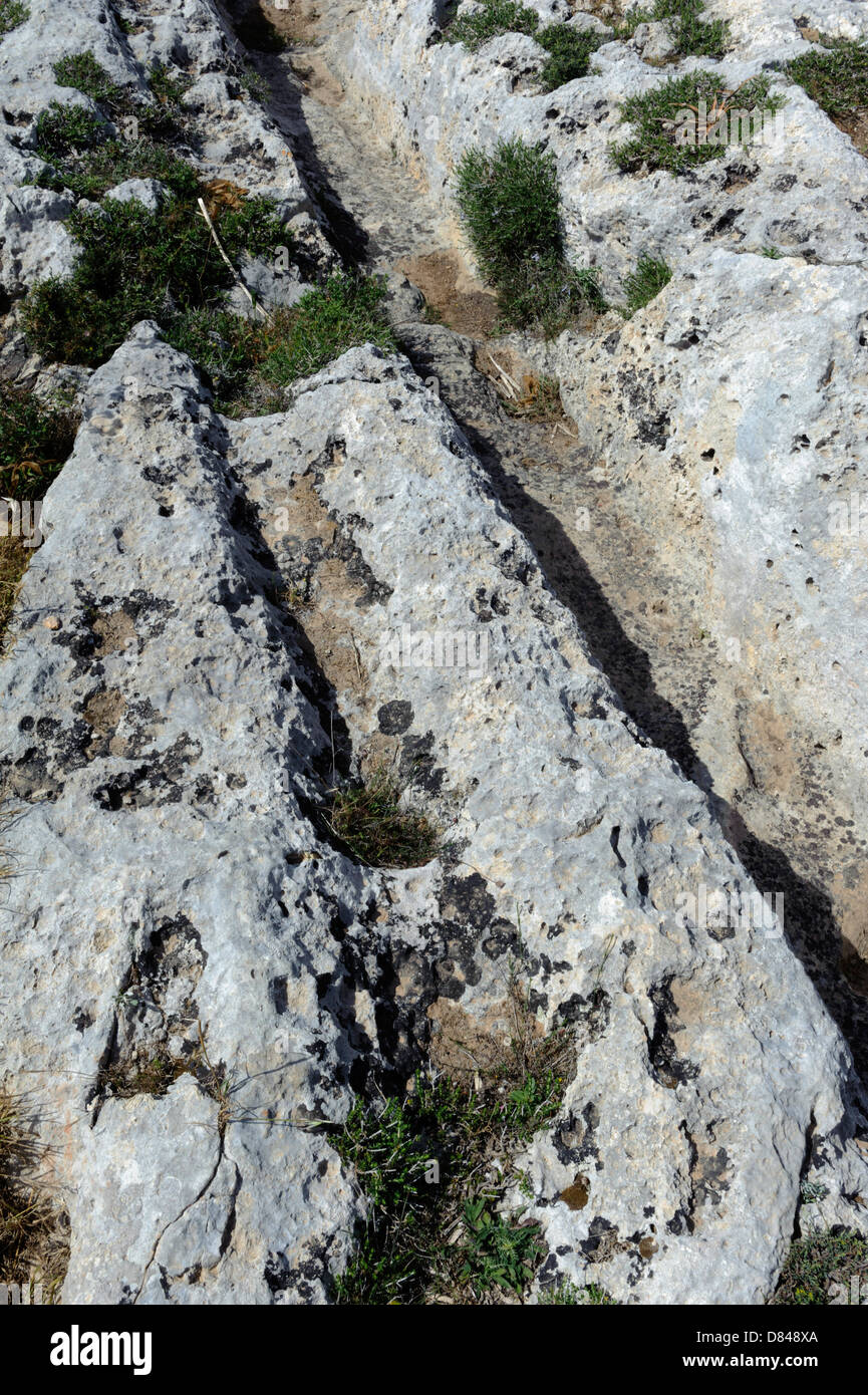 Cart Ruts Clapham Junction, Malta Stock Photo - Alamy