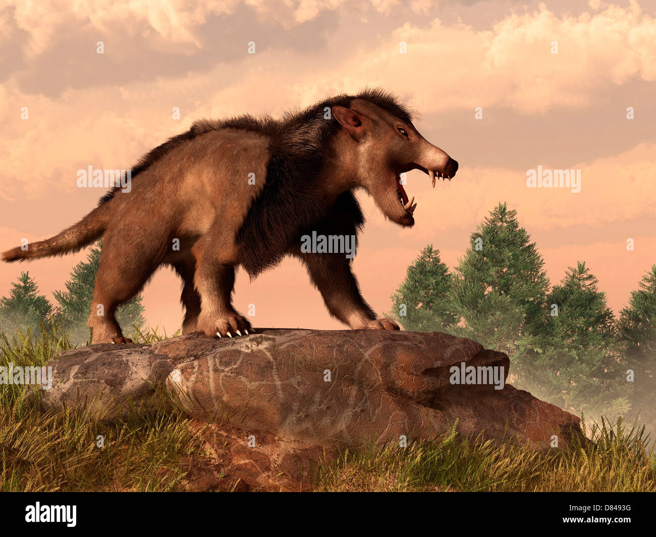 Condylarth hi-res stock photography and images - Alamy