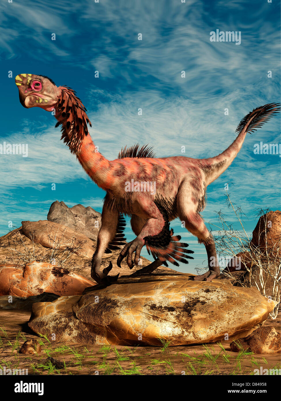 Oviraptorosaur citipati hi-res stock photography and images - Alamy