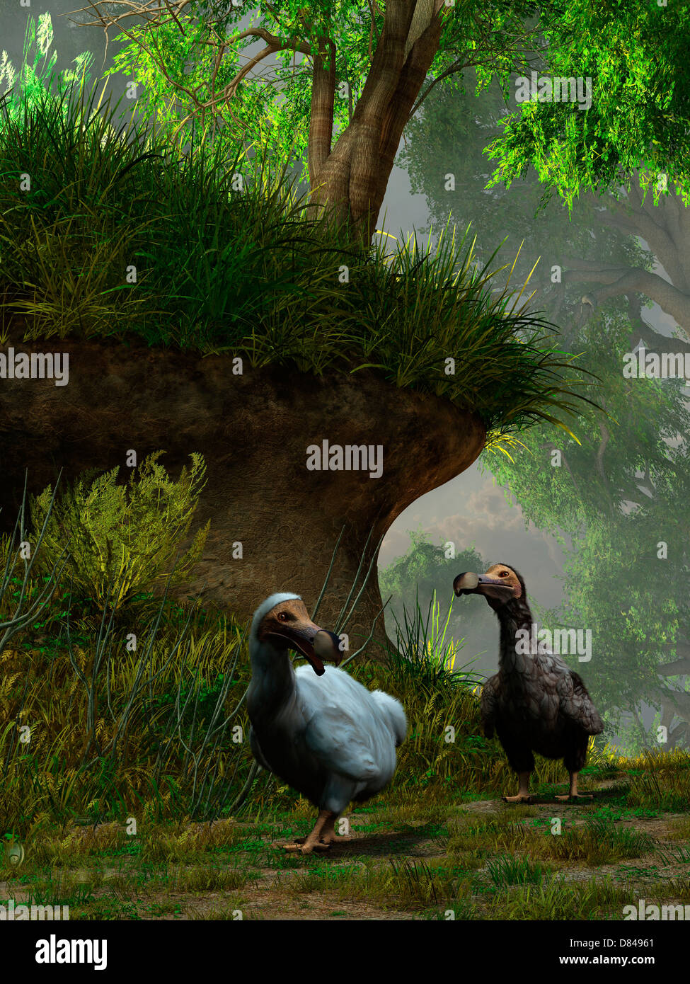 Extinct Dodo Bird Stock Photos & Extinct Dodo Bird Stock Images - Alamy