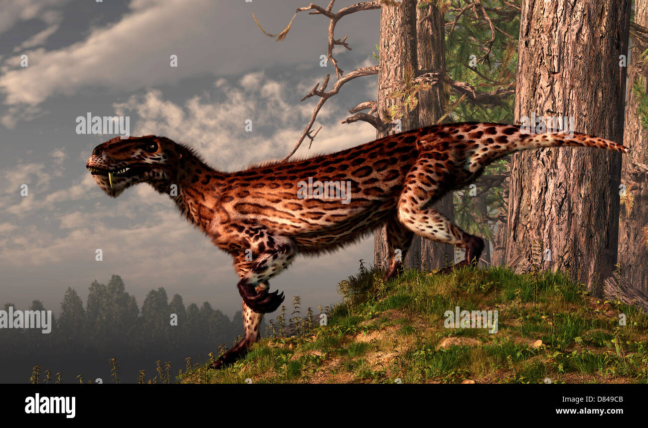 Gorgonopsid hi-res stock photography and images - Alamy