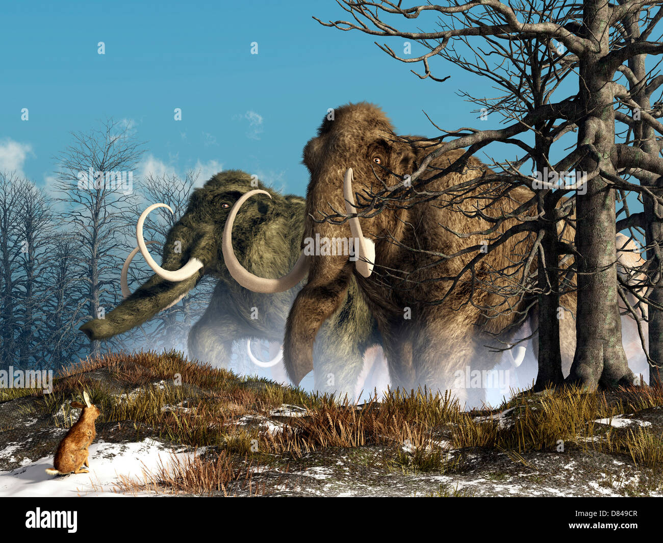A rabbit witnesses a herd of mammoths in a snowy forest Stock Photo - Alamy