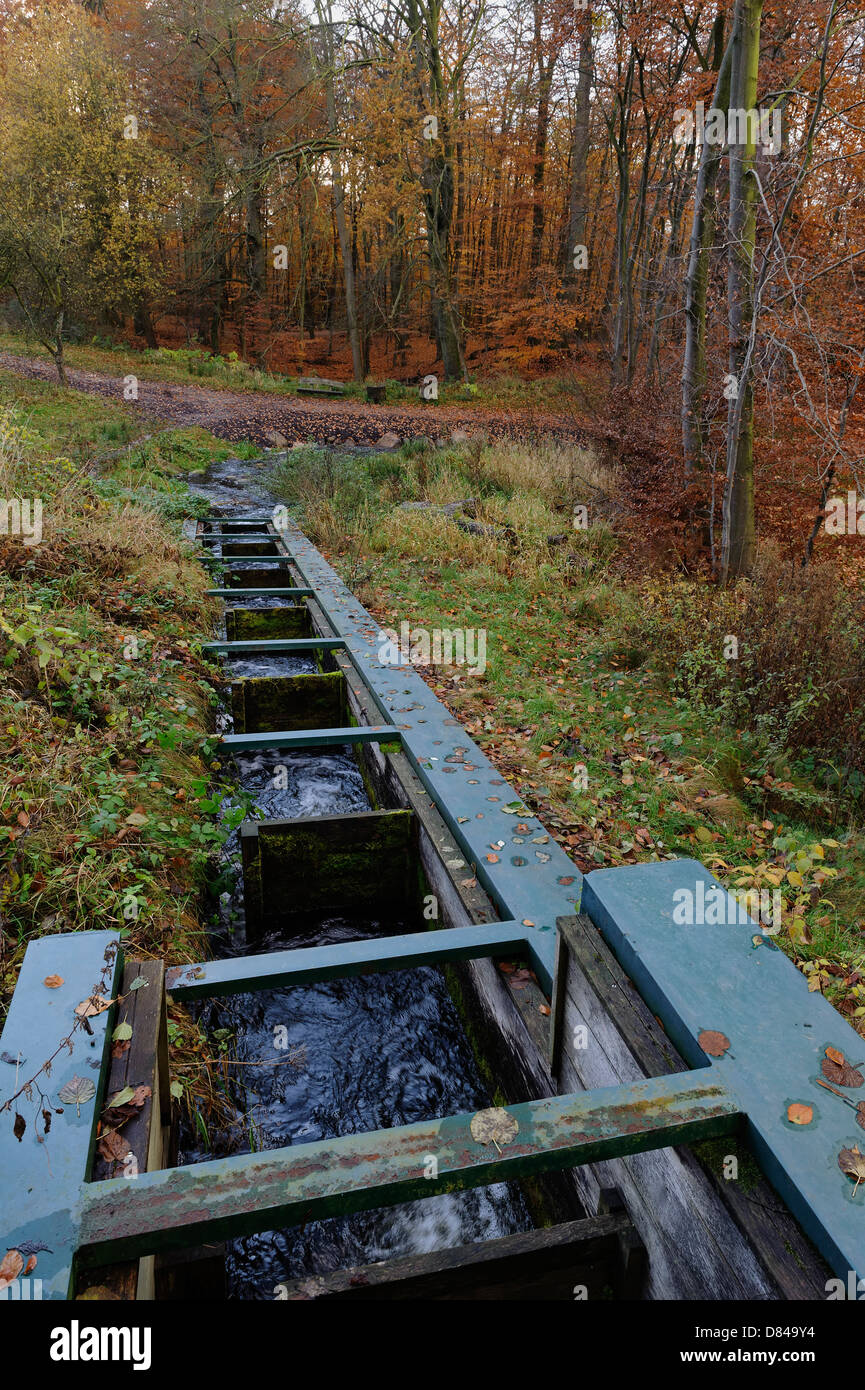 fish ladder at Mühlenteich in Wohldorf, Hamburg, Germany Stock Photo ...