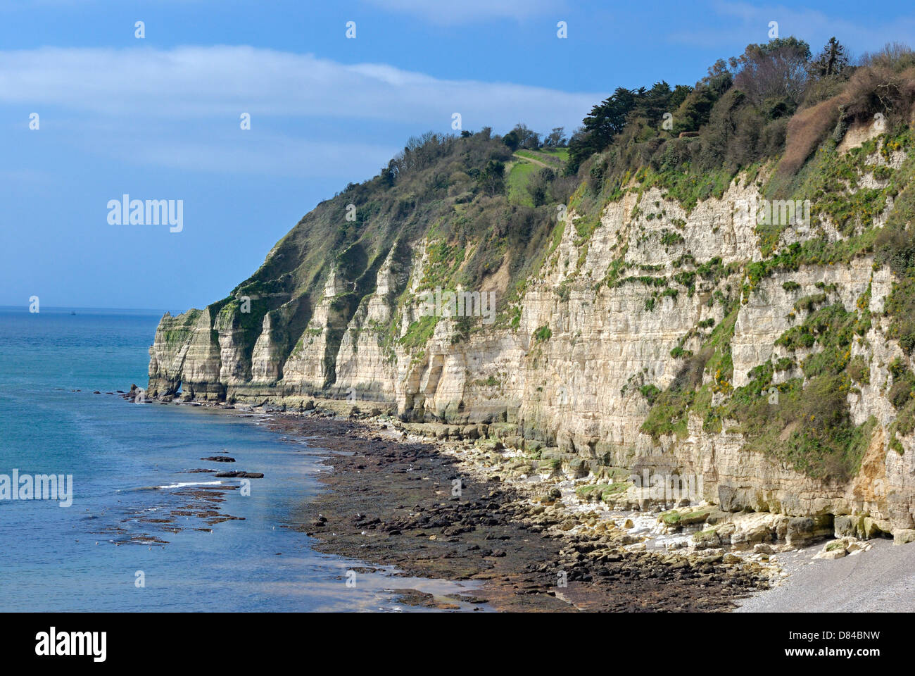 The Jurassic coast Beer Devon England uk Stock Photo - Alamy