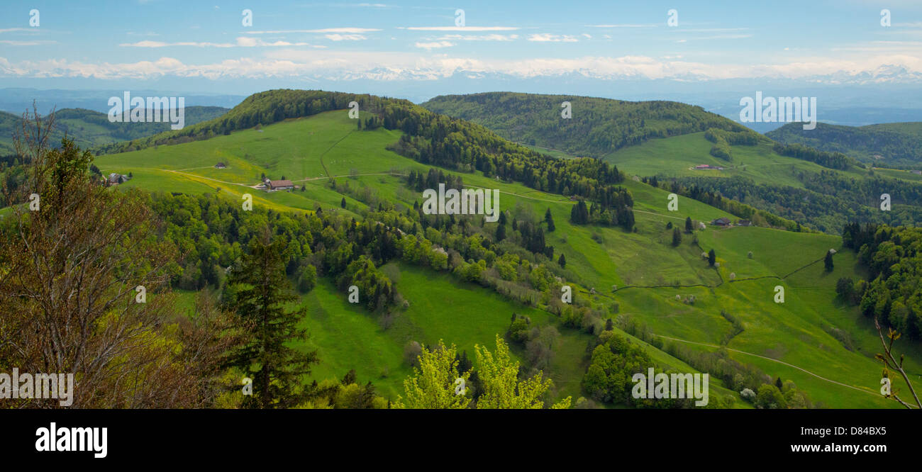 A hilly swiss landscape with the alps in the background, taken in ...