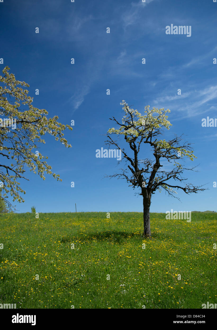 Craggy landscape hi-res stock photography and images - Alamy