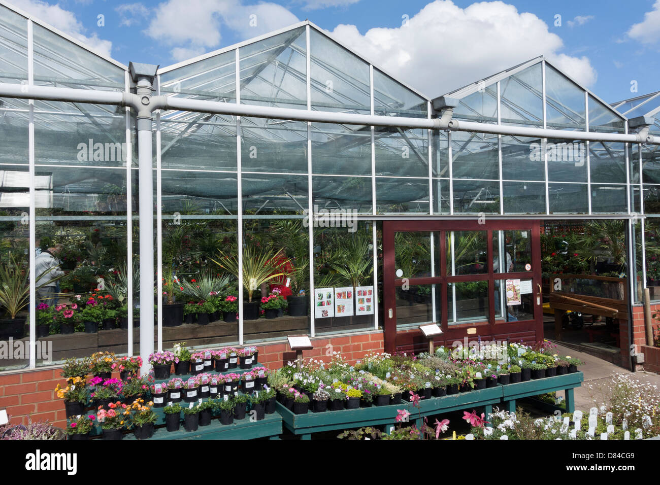 Ashwood nurseries hi-res stock photography and images - Alamy