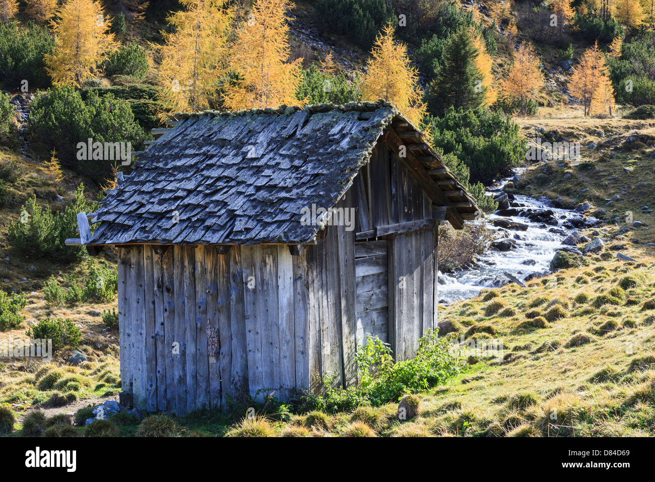Old weathered shed by the creek Stock Photo - Alamy