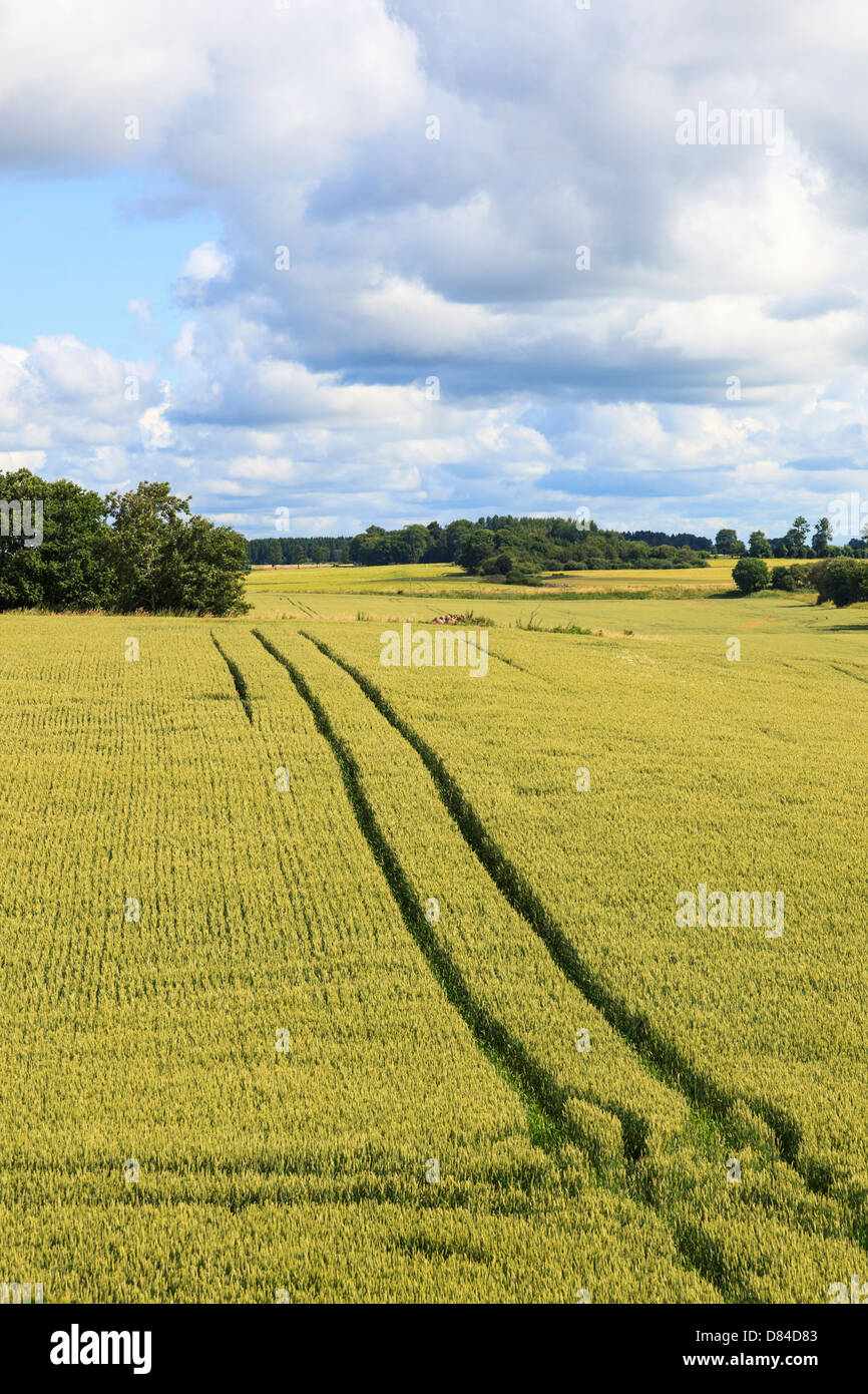 Rural landscape with fields Stock Photo - Alamy