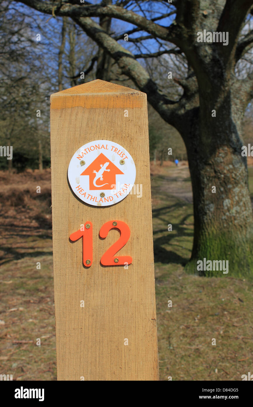 National trust headley heath hi-res stock photography and images - Alamy