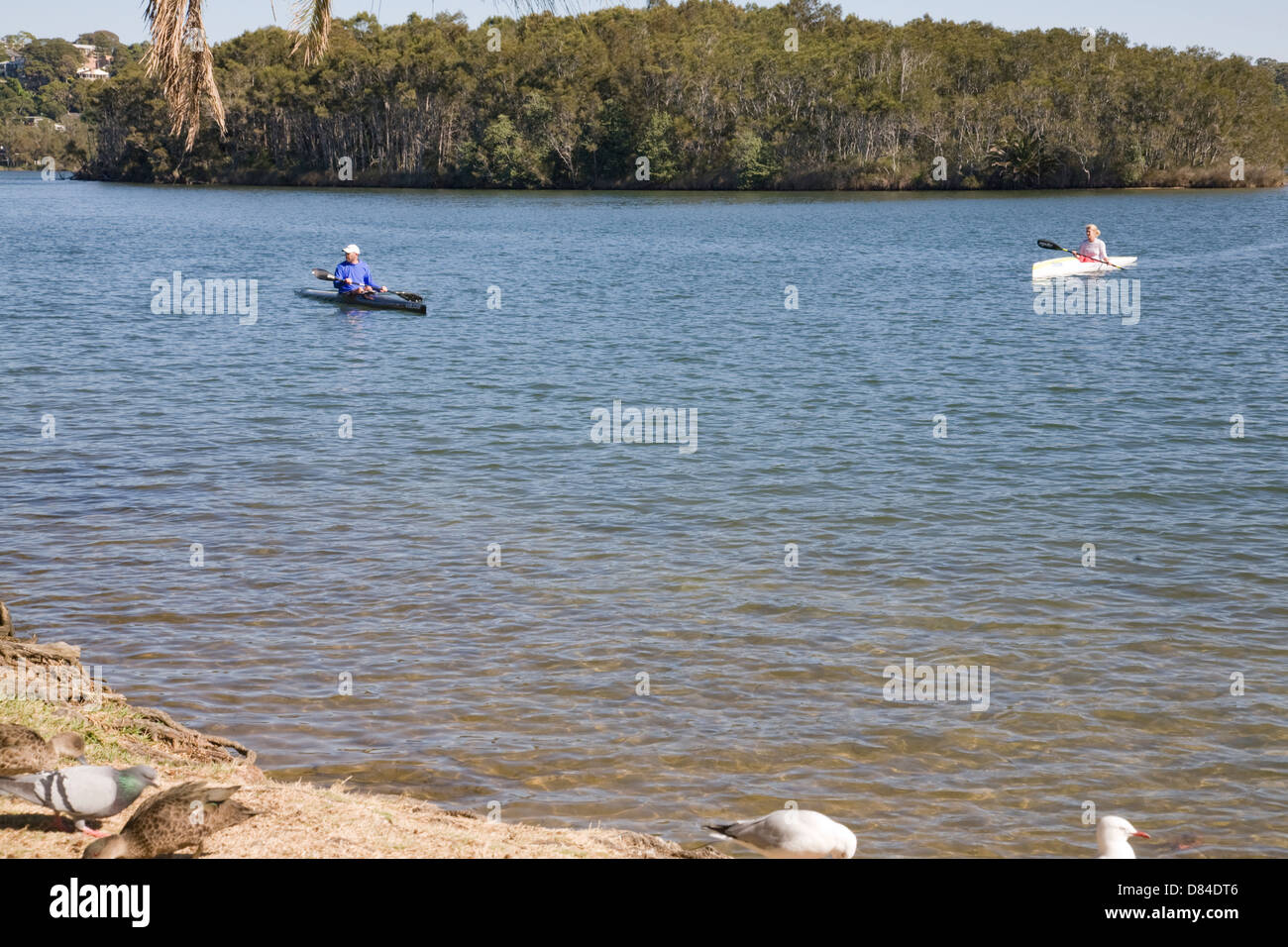 Narrabeen lake sydney australia hi-res stock photography and images - Alamy